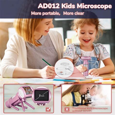 How To Identify Epithelial Tissue Under Microscope