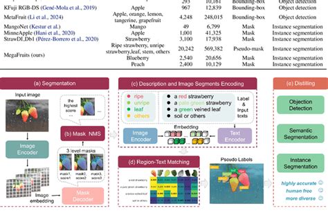 Learn From Foundation Model Fruit Detection Model Without Manual Annotation