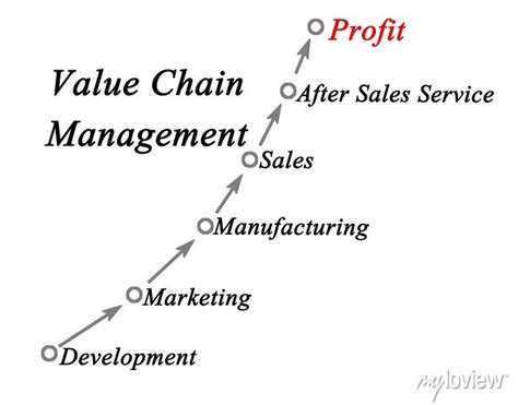 Diagram Of Value Chain Management Posters For The Wall • Posters After