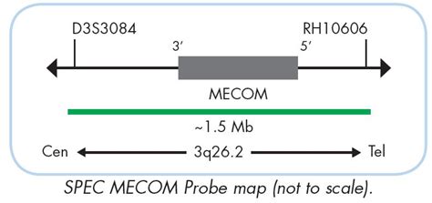 new zytovision zytolight® spec gata2 mecom dual colour fusion probe