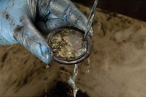 เครื่องอัดจารบีไร้สาย Dewalt Dcgg571b 20v Max ตัวเปล่า ลดราคา Itoolmart