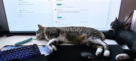 Explorer Bug 10022631 Na Build 22631 Rwindowshelp