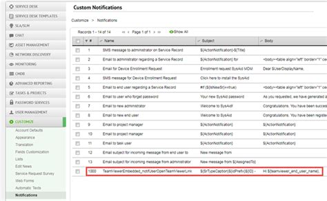 teamviewer embedded service