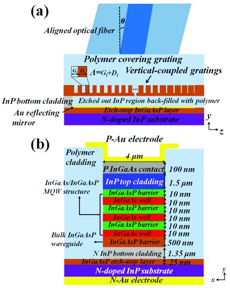 A Y Z Cross Sectional Diagram Of The Vertical Beam Fiber Coupling
