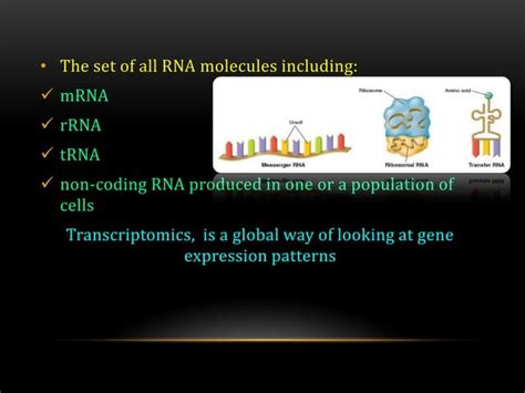 Genomics And Proteomics Bioinformatics Ppt