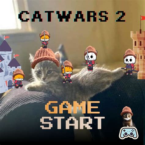 Catwifhat Cwif Solana Memecoin