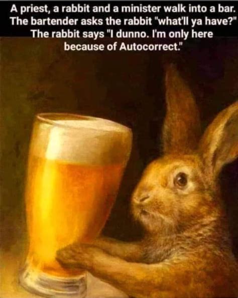 Memes And Politics 12 Album On Imgur