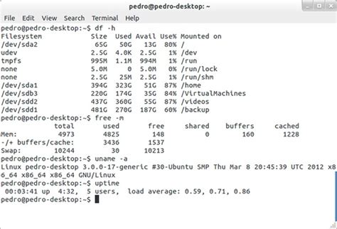 Aprenda Os Comandos Básicos Do Linux