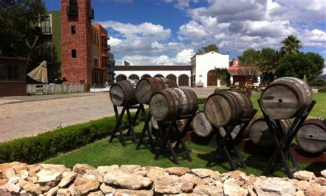 Viñedos La Redonda Recibe Al Gastrofest Caminos De Querétaro Quadratin Querétaro