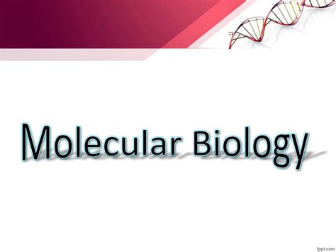Solution Mutation Types Of Mutation Chemical Mutagens Analogue
