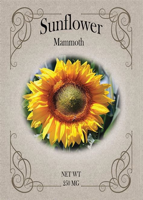 Black Duck Brand Set Of Flower Seed Packets Flower Seeds In Bulk Great For