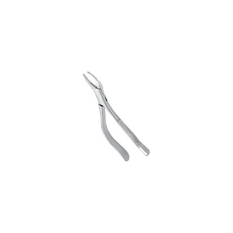 Extracting Forceps Adults
