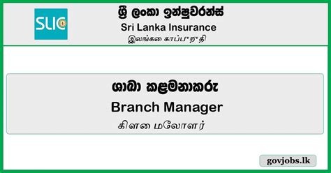 Branch Manager Sri Lanka Insurance Job Vacancies 2024 Govjobs Lk