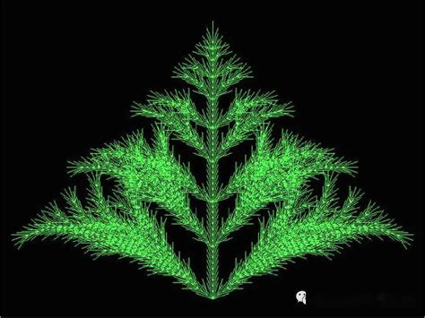 今晚播出 《丝路大讲堂》宋伦继：数学与算法之美花瓣恐惧症国家