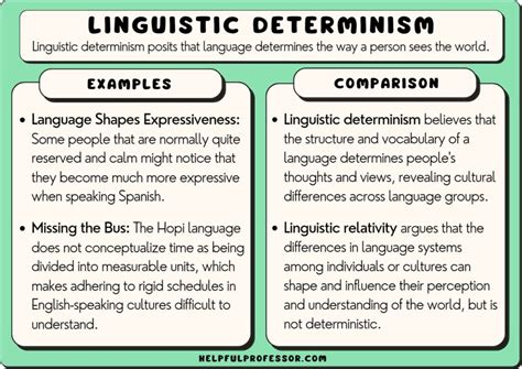 Linguistic Determinism Vs Linguistic Influence What You Need To Know