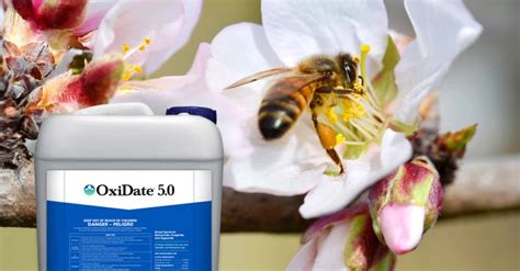 Biosafe Systems On Linkedin California Dpr Removes Bee Statement Accepts Oxidate 50