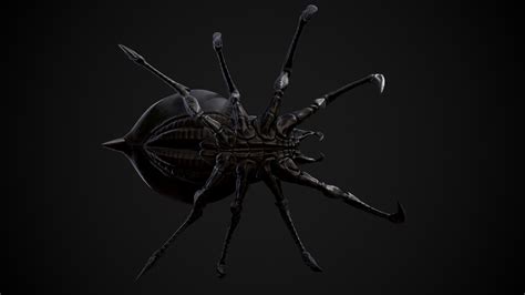 Spider Queen Model Turbosquid 1689261