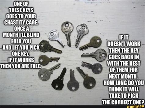 One Of These Keys Goes To Your Chastity Cage Oncea Month Bling Folb