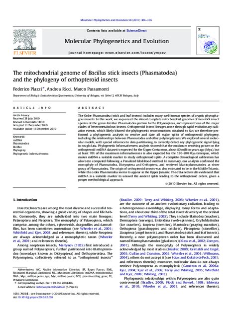 Pdf The Mitochondrial Genome Of Bacillus Stick Insects Phasmatodea