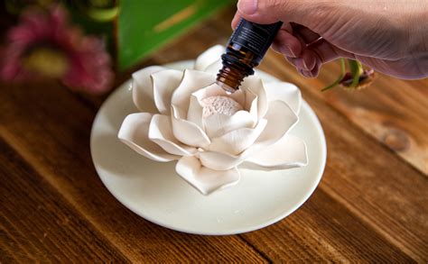 Essential Oil Passive Flower Diffuser Non Electric Porcelain Aromatherapy Diffusers