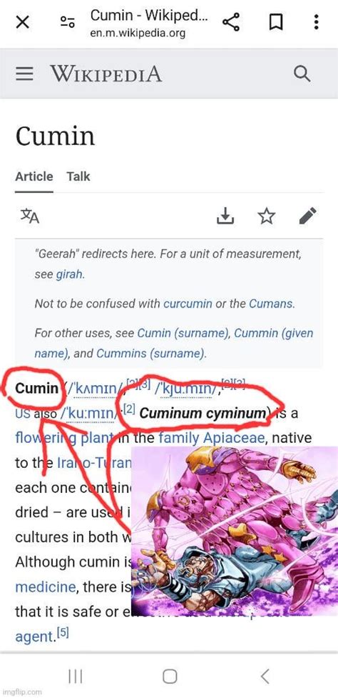 This Referrence Is Rather Spicy Rshitpostcrusaders