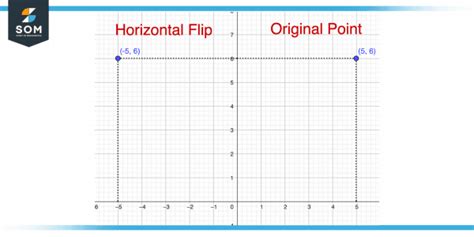 Horizontal Flip Definition And Meaning