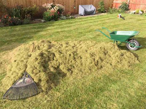 Scarification Perfect Lawn Care
