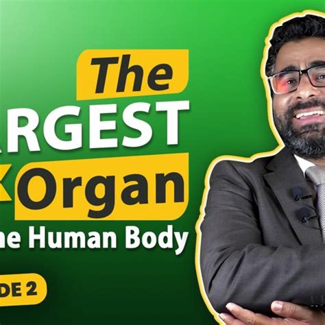 Stream The Largest Sexual Organ Dr Deepak Arora Expert Insights By