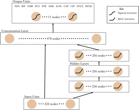 Beyond Multidrug Resistance Leveraging Rare Variants With Machine And Statistical Learning