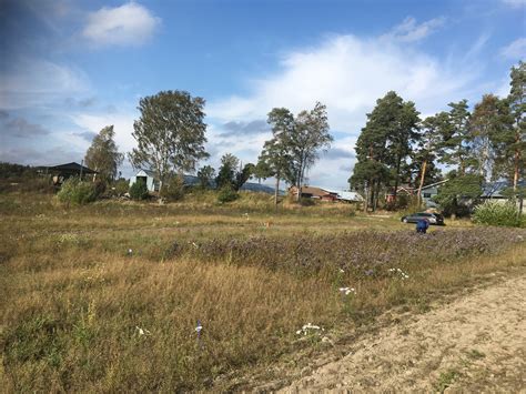 Soil Sampling Trip On Soildiveragro Boreal Case Studies Soildiveragro Soil Sampling Trip On Soildiveragro Boreal Case Studies Soildiveragro