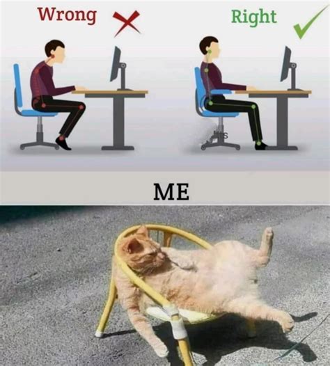 The Debugger How Do You Sit Memes Programmerhumor