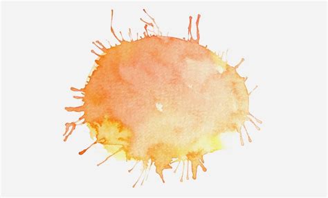 Scientists Discover A Bizarre Microbe Shaped Like A Living Sun —and It