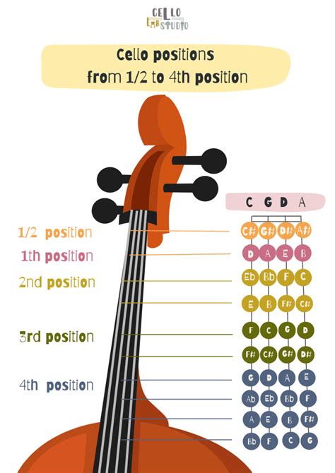 Cello Positions The Cello Lab
