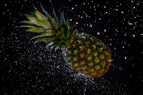 Free Images Natural Marine Invertebrates Organism Terrestrial