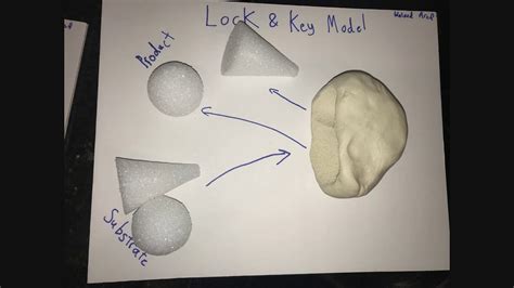 3d Enzyme Project Youtube