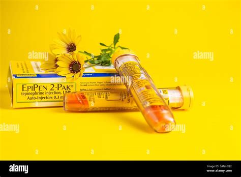 Epipen 2 Pack Epinephrine Auto Injectors Manufactured By Mylan