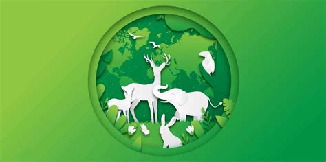 Create A Mini Ecosystem Step By Step Terrarium Ideas For Nature Lovers