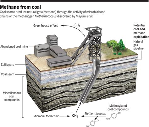 Difference Between Coal Bed Methane And Shale Gas At Salvador Simpson Blog