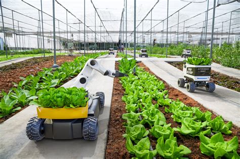 Controlled Environment Agriculture The Inside Scoop On Indoor Ag