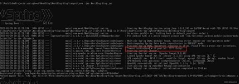 Springboot 项目打jar包可能出现的问题：error Injecting Orgspringframeworkboot