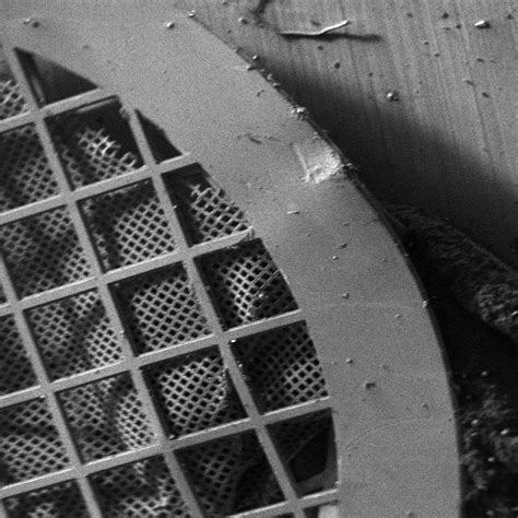 Data Acquisition And Instrument Control Software Staib Instruments