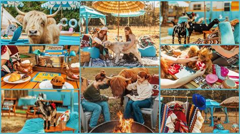 The Shaggy Cow Lounge And Cabanas W Fluffy Highland Cows Tree House