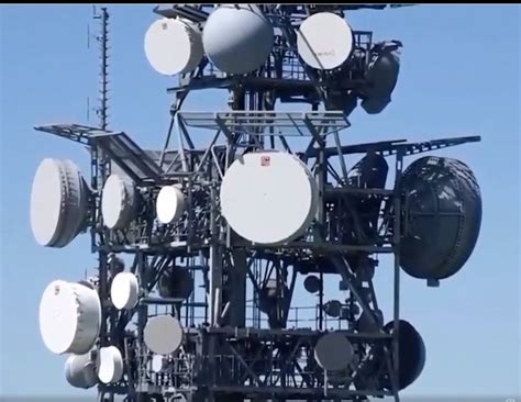 Seekers And Sleepers Matilda Macelroy