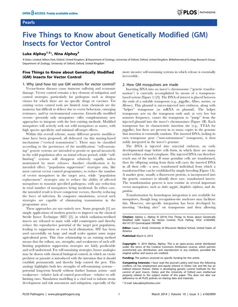 Pdf Five Things To Know About Genetically Modified Gm Insects For