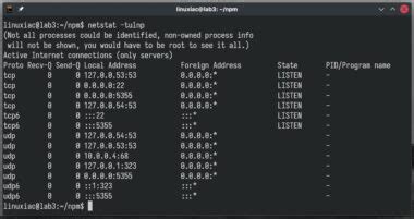 How To Set Up Reverse Proxy With Nginx Proxy Manager NPM