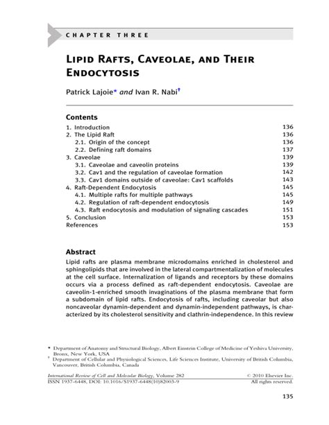 Lipid Rafts Caveolae And Their Endocytosis