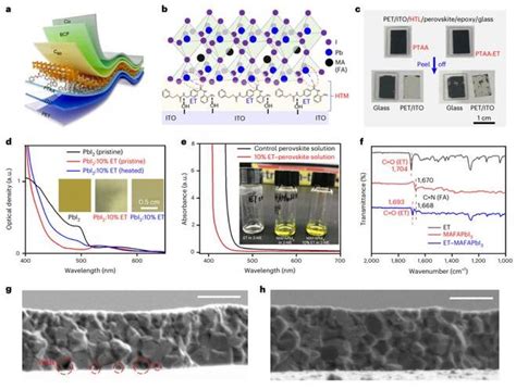 Highly Stable Flexible Perovskite Solar Modules