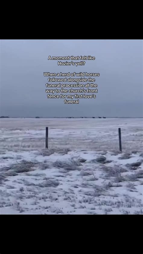 Elastigirl Inflation By Imbapovi Inflation Master Funlandofinflation