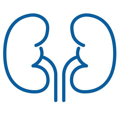 Irn Iplato Research Network