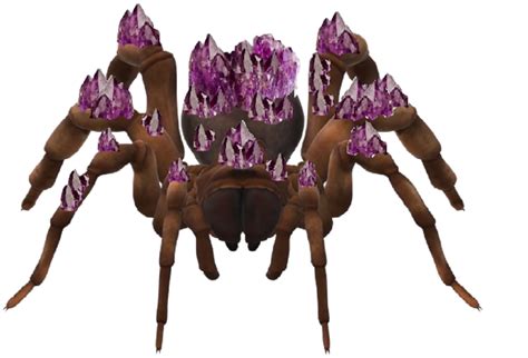 Amethyst Spider Crazy Insects Fan Wiki Fandom